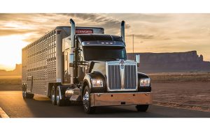 Kenworth W990 - KWPA